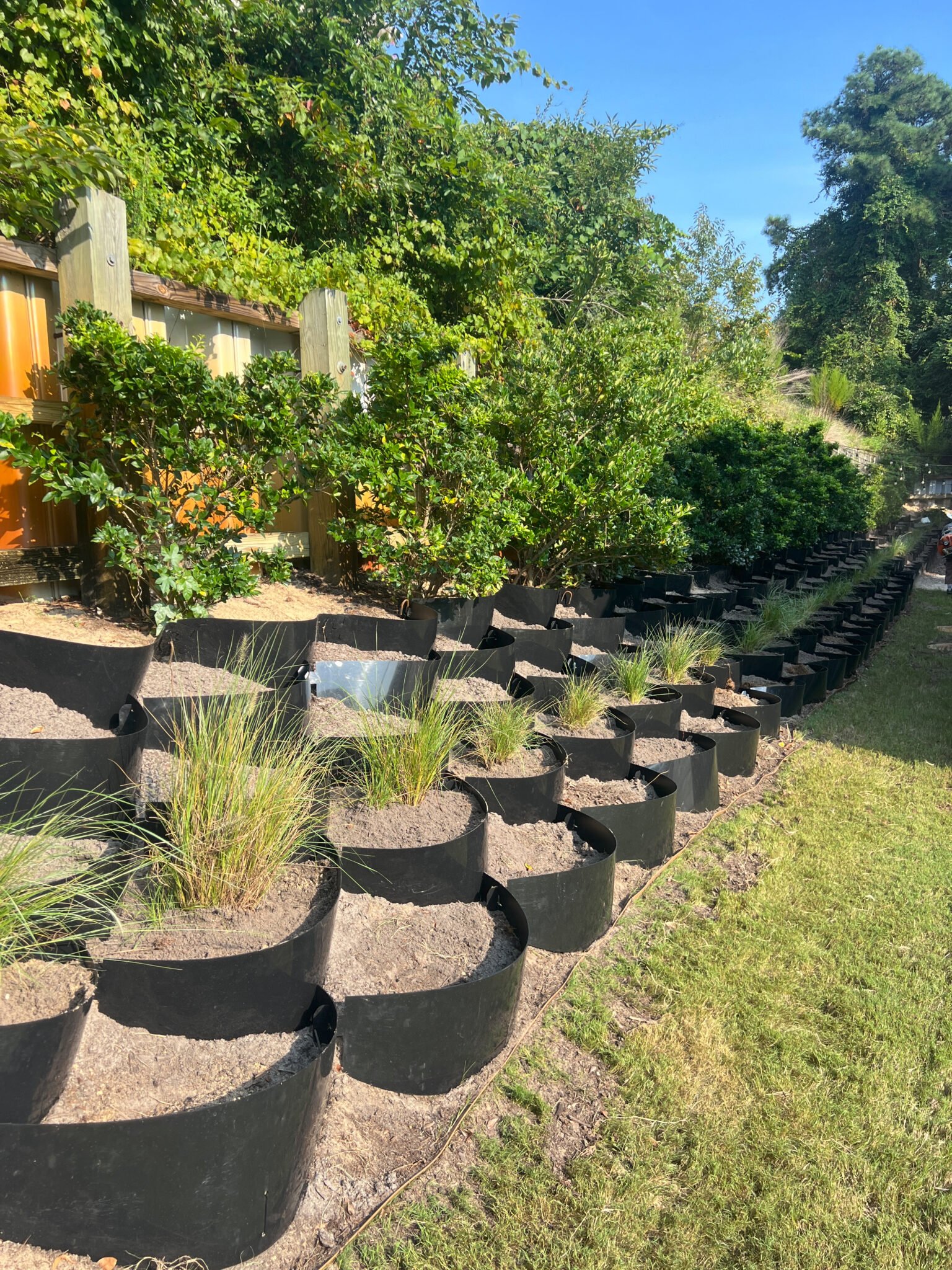 Services – Beachwave Landscaping